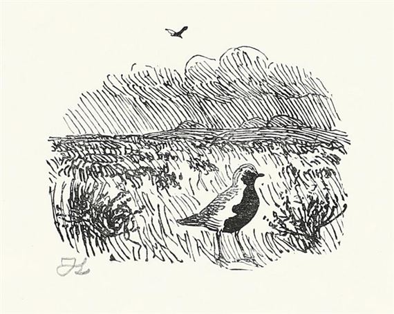 Johannes Larsen | Hjejlen. II. The Golden Plover | MutualArt