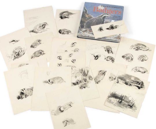 Eileen Alice Soper | Folio of Badger Studies | MutualArt