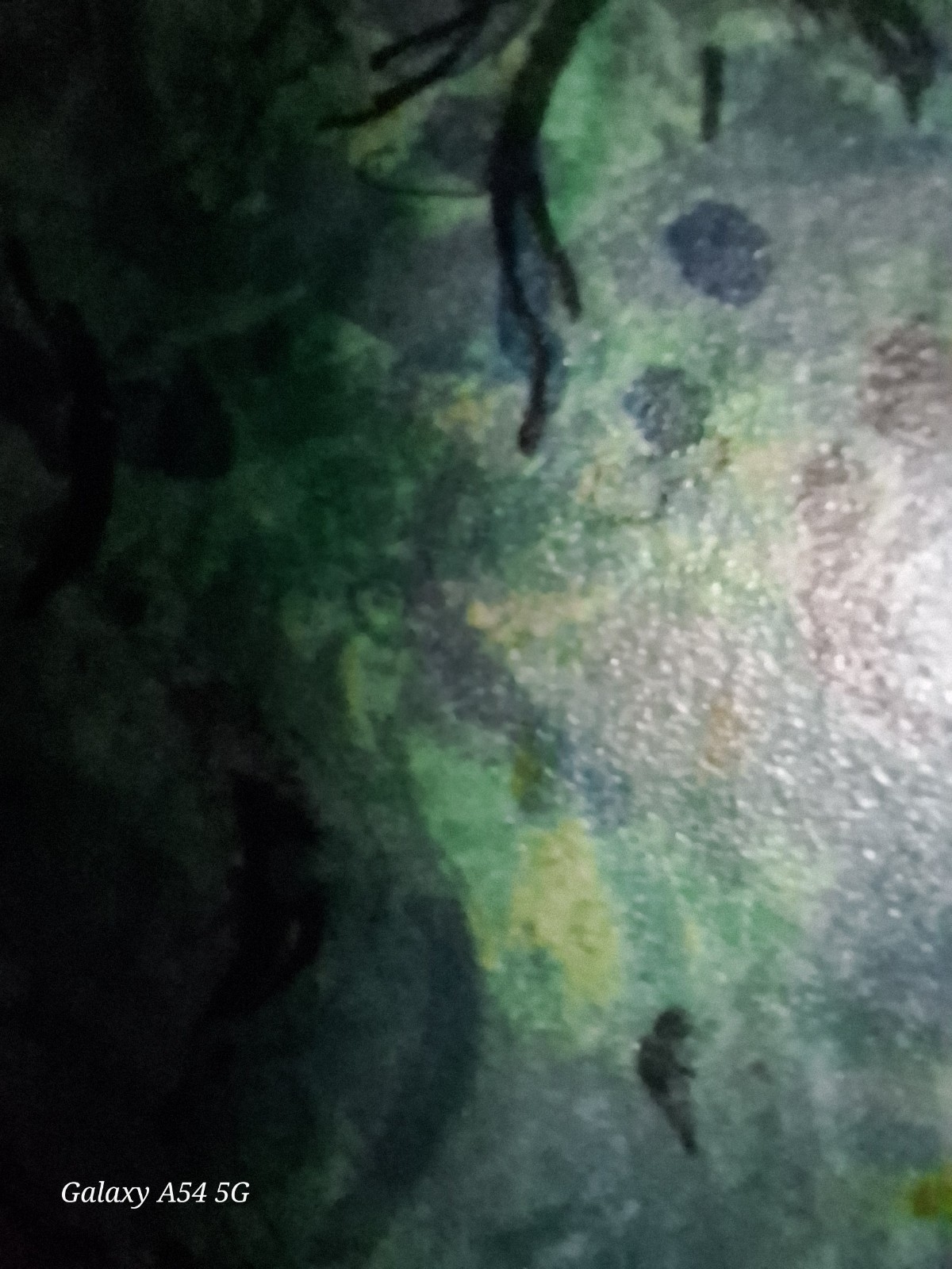 Marc Chagall | The Magic Flute (1967) | MutualArt