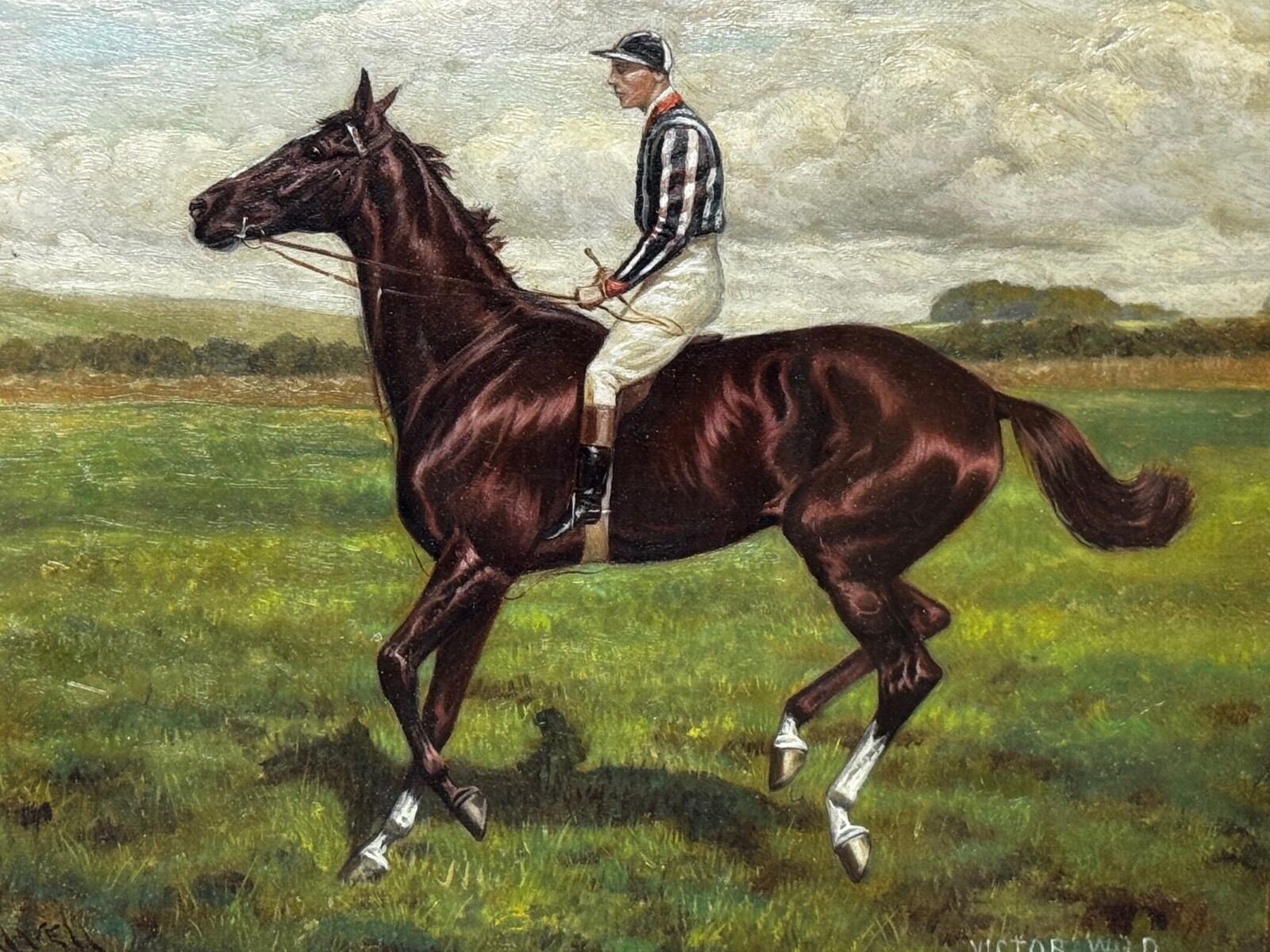 Alfred Charles Havell | Victor Wild Winner Of Coronation Cup With ...