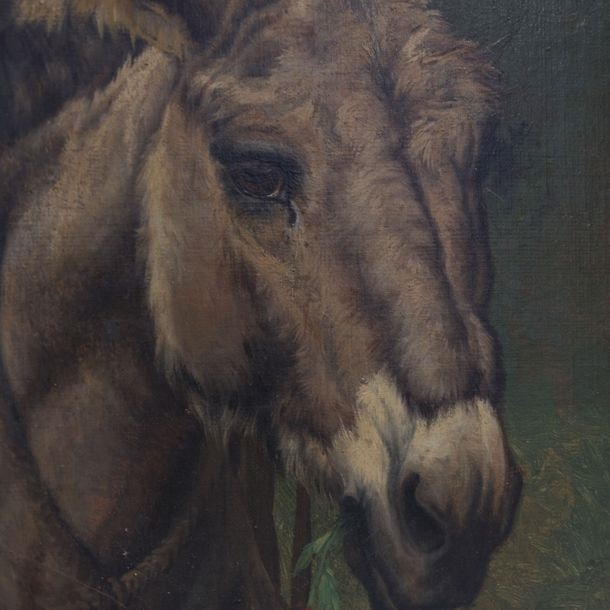 Simon Simonsen | Portrait of a Donkey (1968) | MutualArt