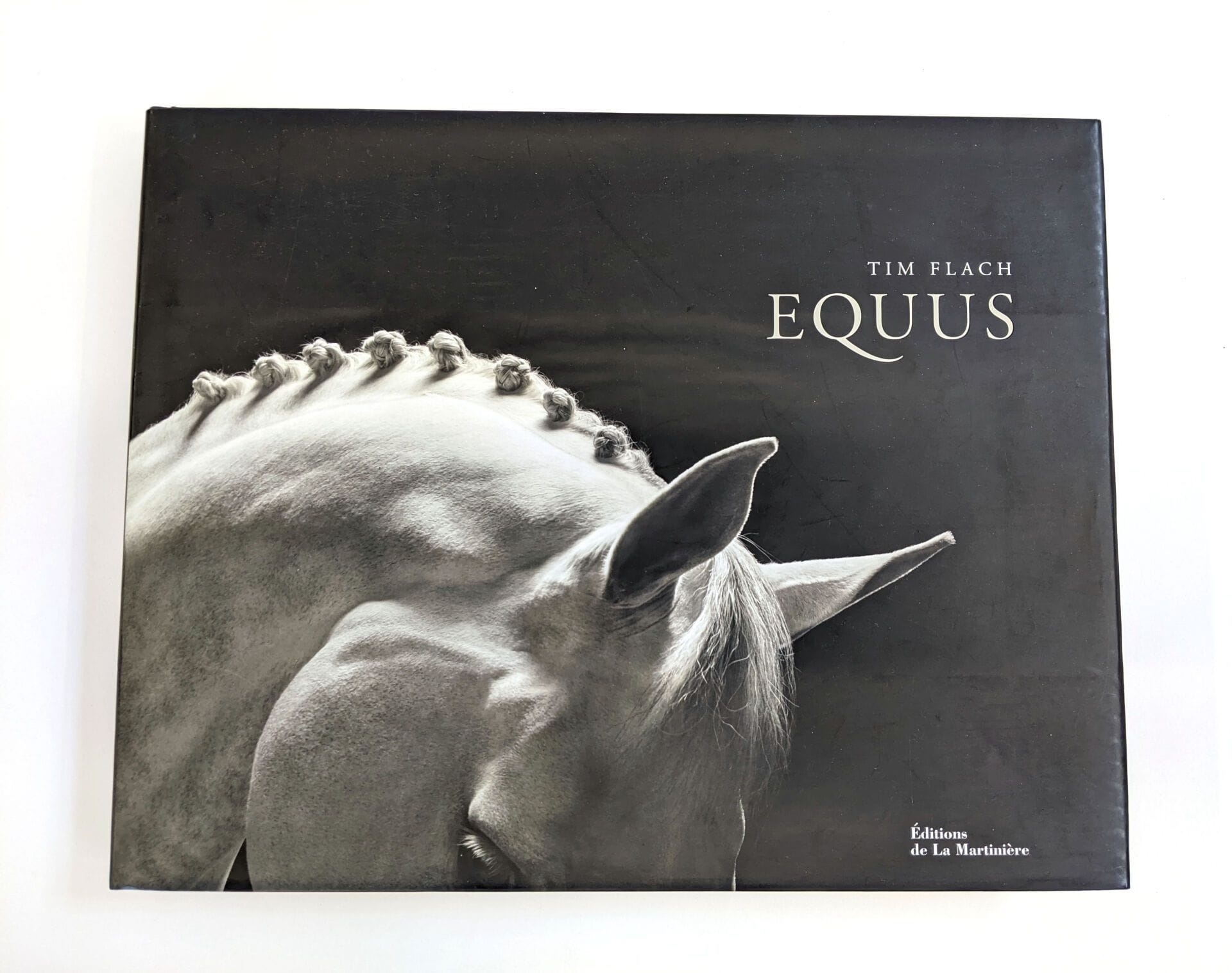 Timothy Flach | EQUUS (2008) | MutualArt