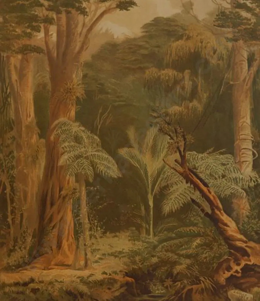 John Gully | New Zealand Forest, 1877 (1877) | MutualArt
