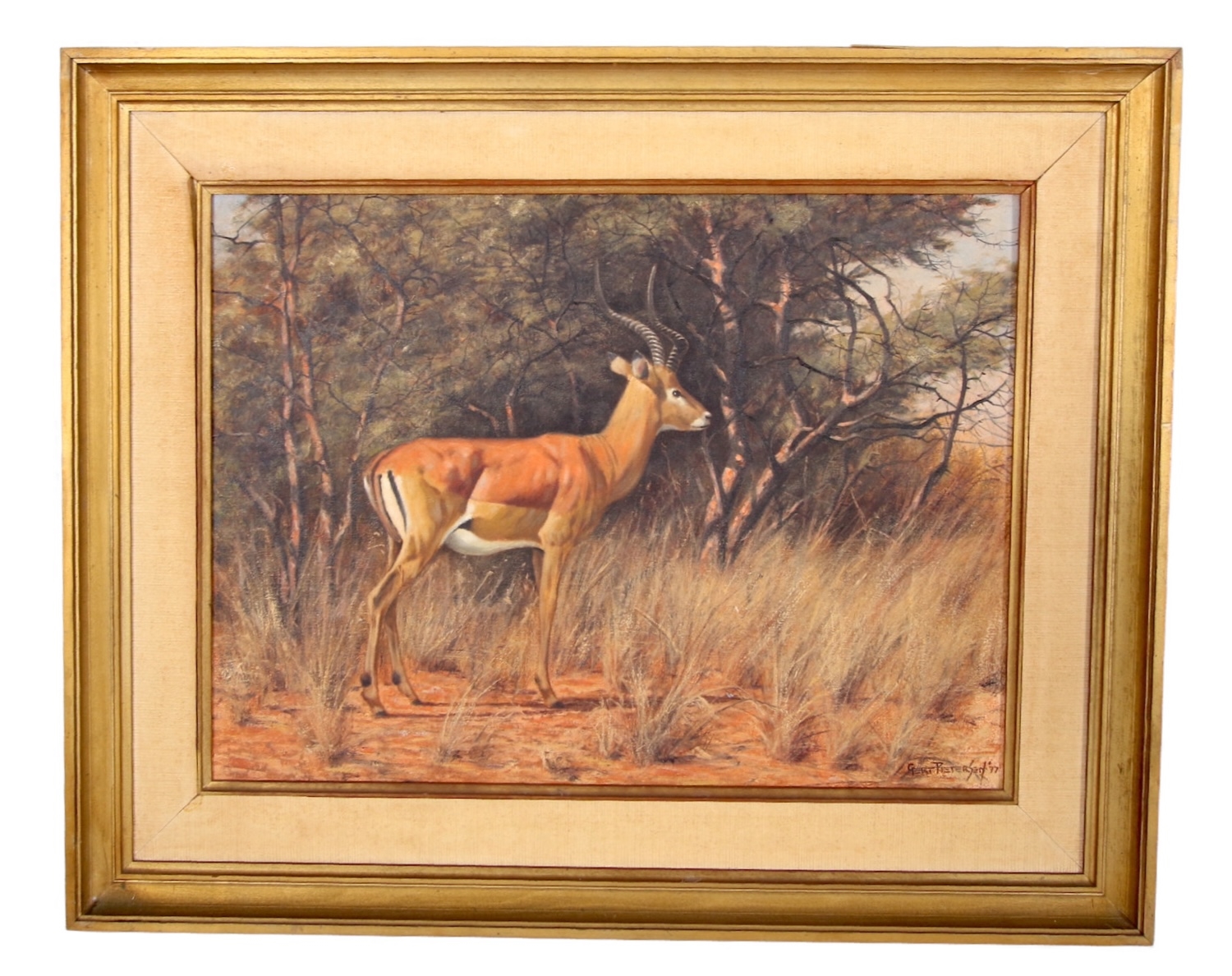 Gert Pietersen | SPRINGBUCK (1977) | MutualArt