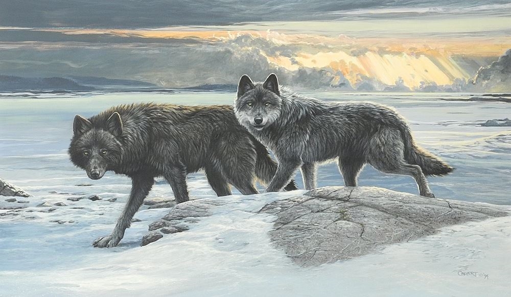 Lissa Calvert | Pair of Wolves | MutualArt