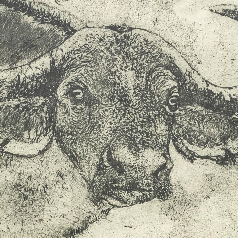 Karen Parker | Cape Buffalo (2004) | MutualArt