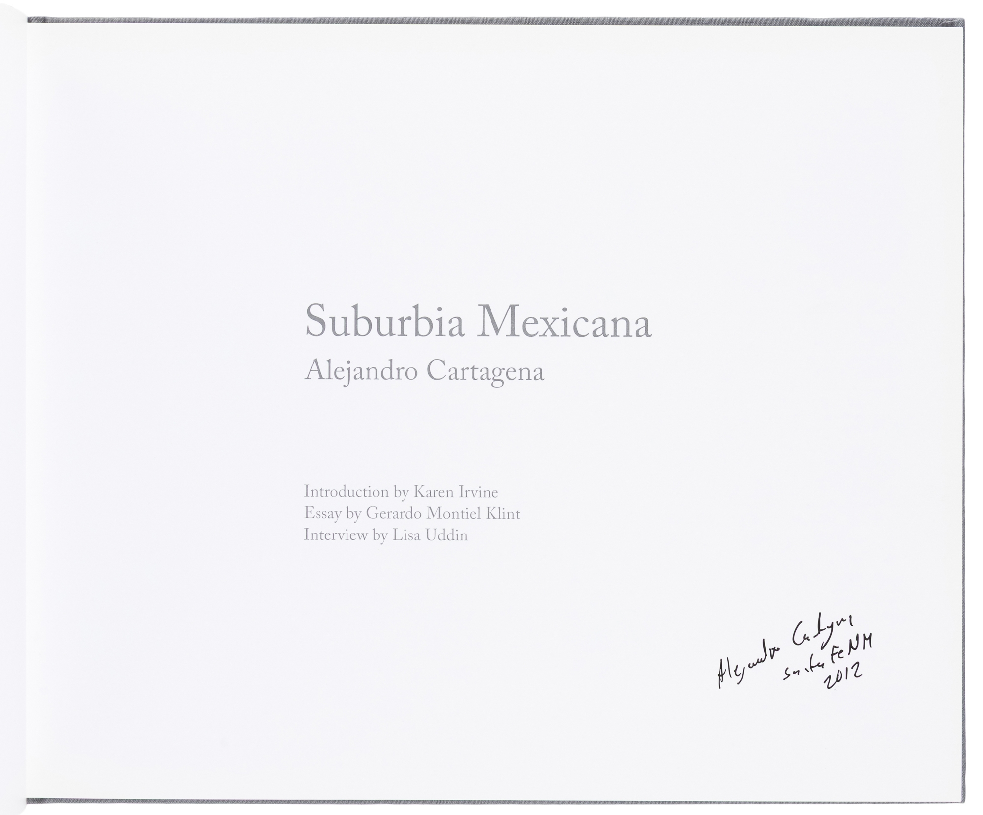 Alejandro Cartagena | Suburbia Mexicana (2011) | MutualArt