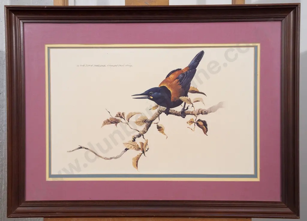 Raymond Harris Ching | The North Island Saddleback | MutualArt