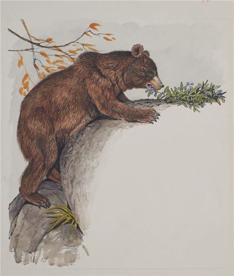 Patrick Oxenham | Bear devouring blueberries | MutualArt