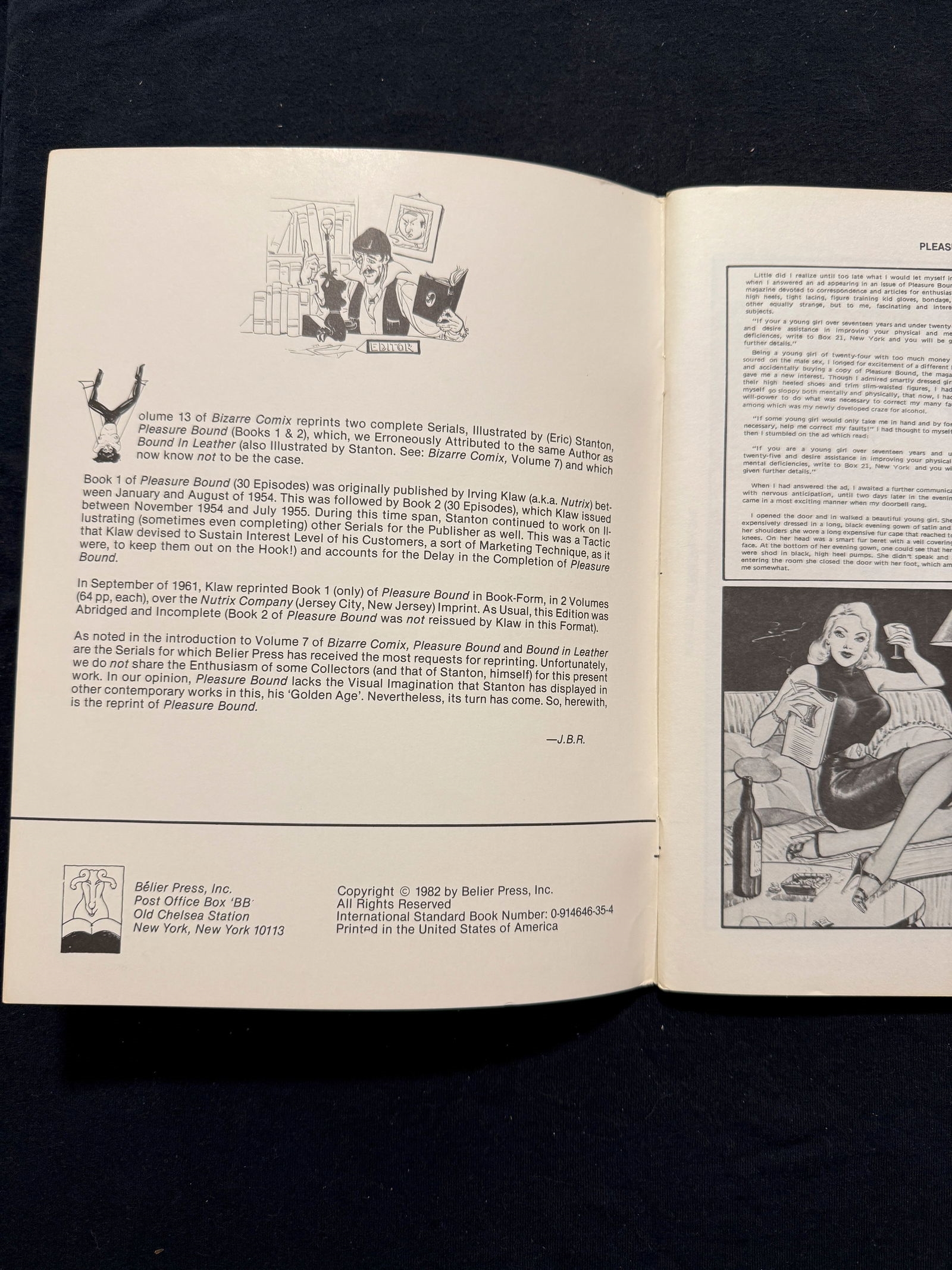 Eric Stanton | BIZARRE COMIX #13 - 1982 (1982) | MutualArt