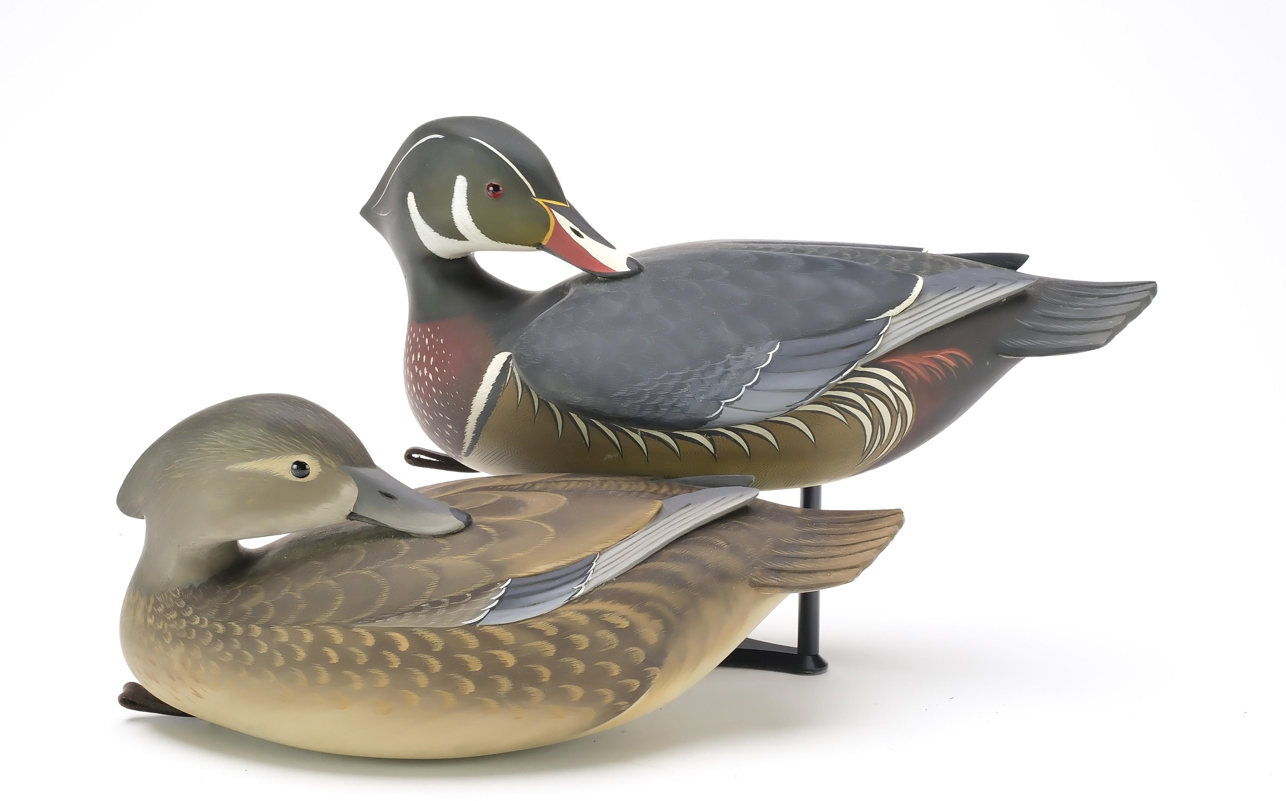 George Strunk | Pair of hollow ducks | MutualArt