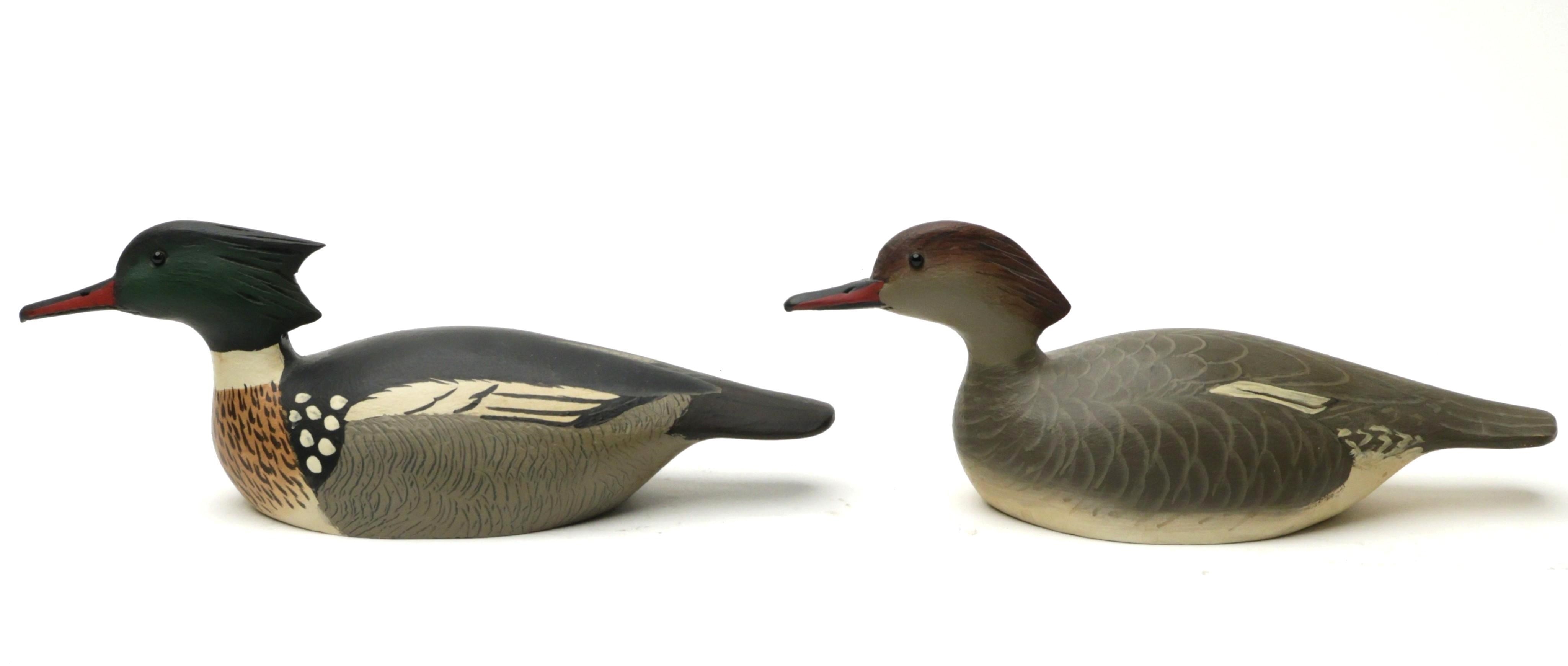 Grayson Chesser | Mergansers | MutualArt