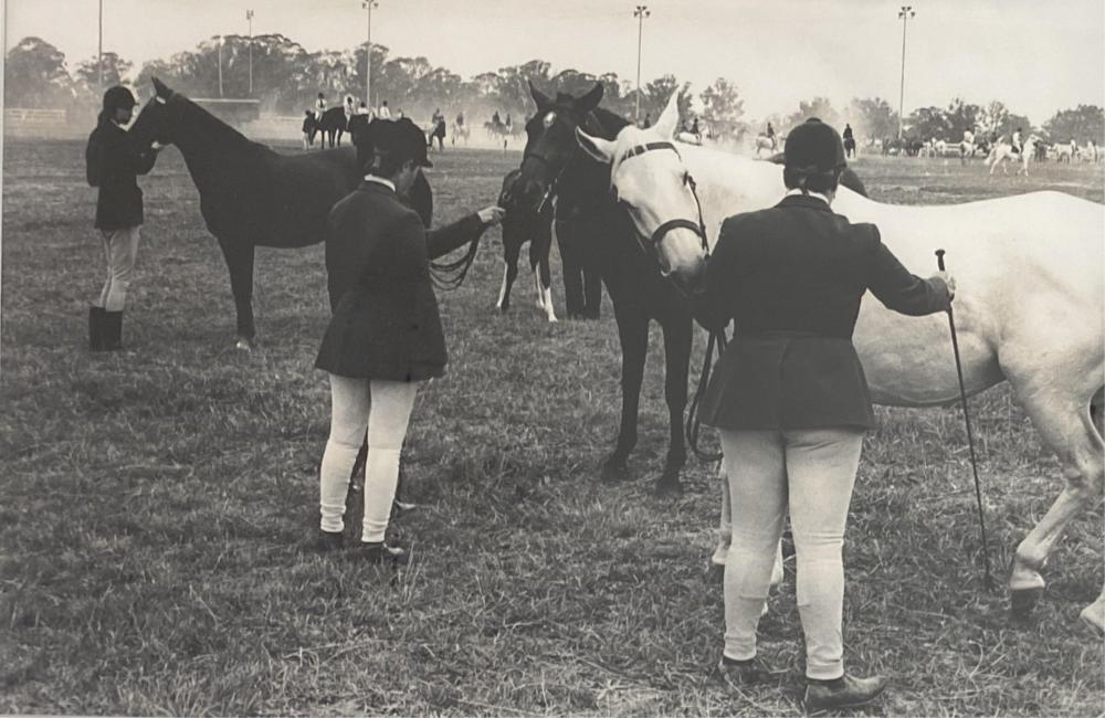 Roger Scott | Blacktown Show 1974 (2001) | MutualArt