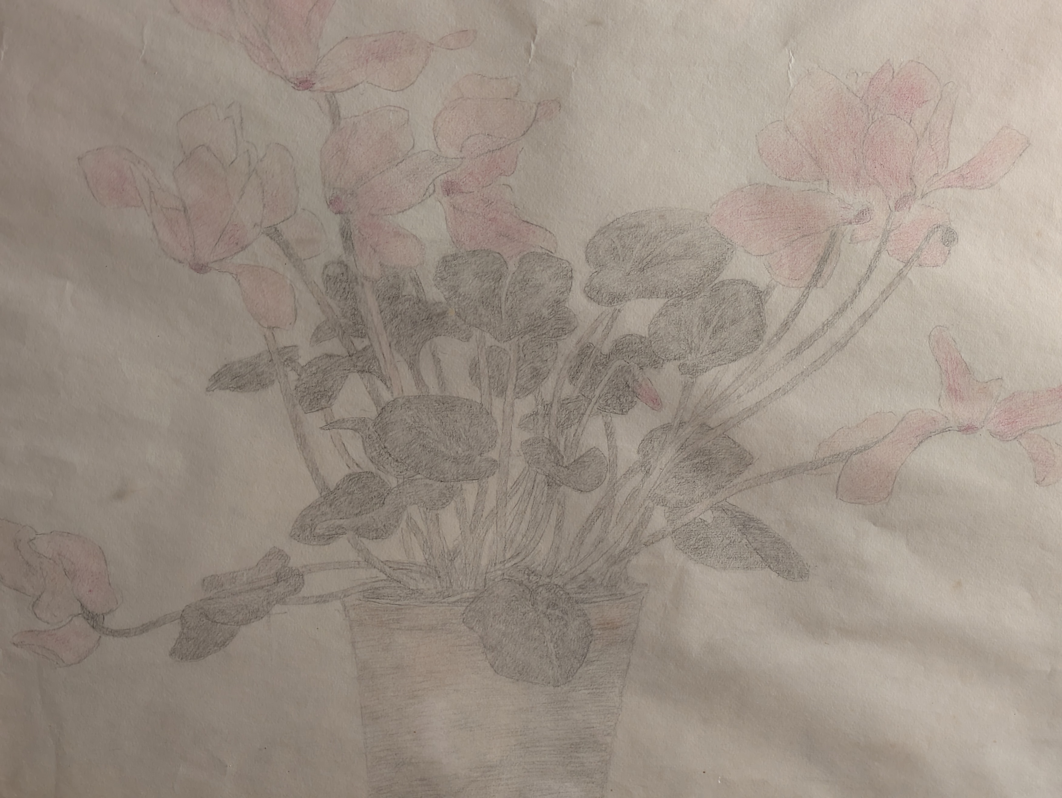 Elisabeth Vellacott | Floral still life | MutualArt