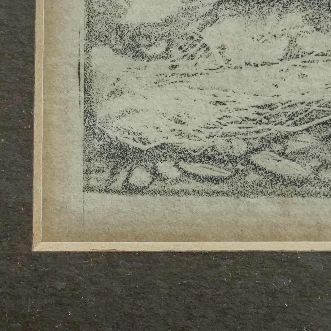 Charles Haslewood Shannon | Study lithograph (19th Century 20th Century ...