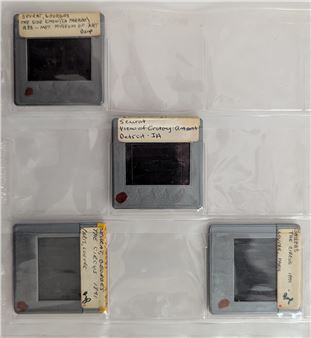 Georges Seurat | Museal Set (20) | MutualArt