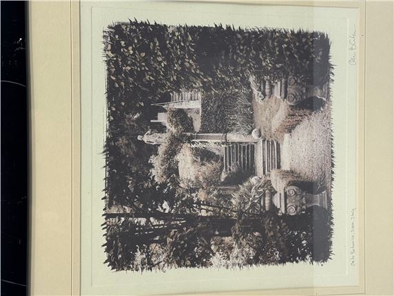 Alan Blaustein | Orto Botanica | MutualArt