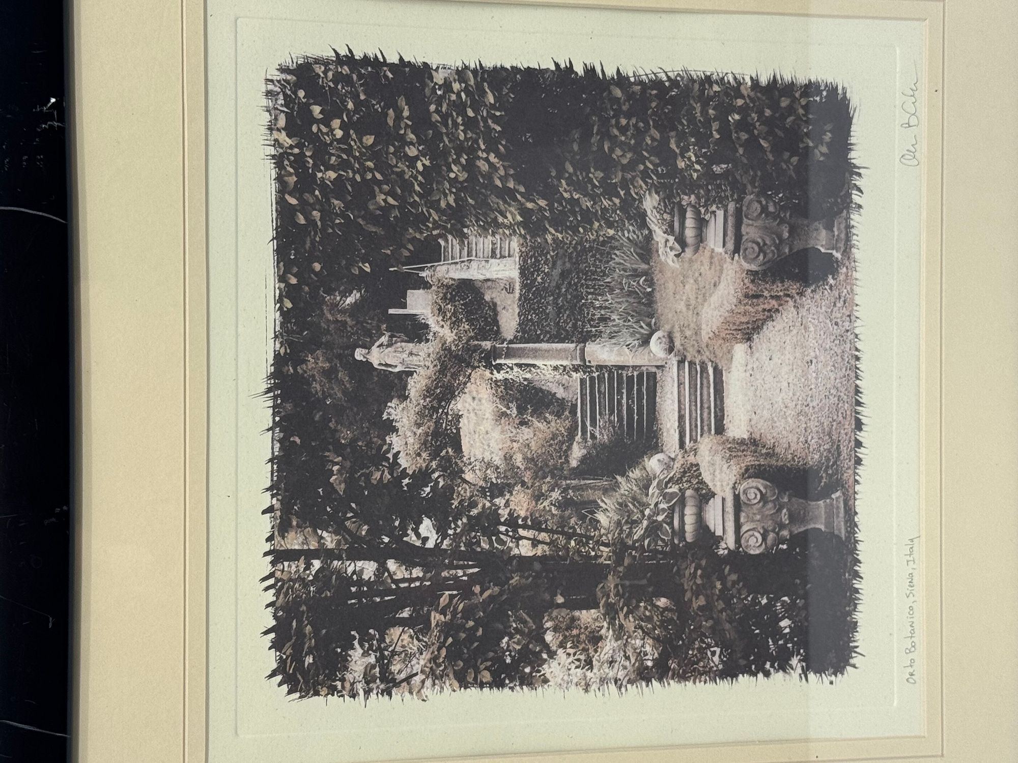 Alan Blaustein | Orto Botanica | MutualArt