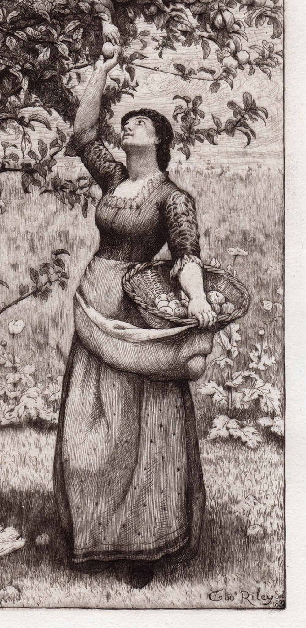 Thomas Riley | Gathering Apples (1882) | MutualArt