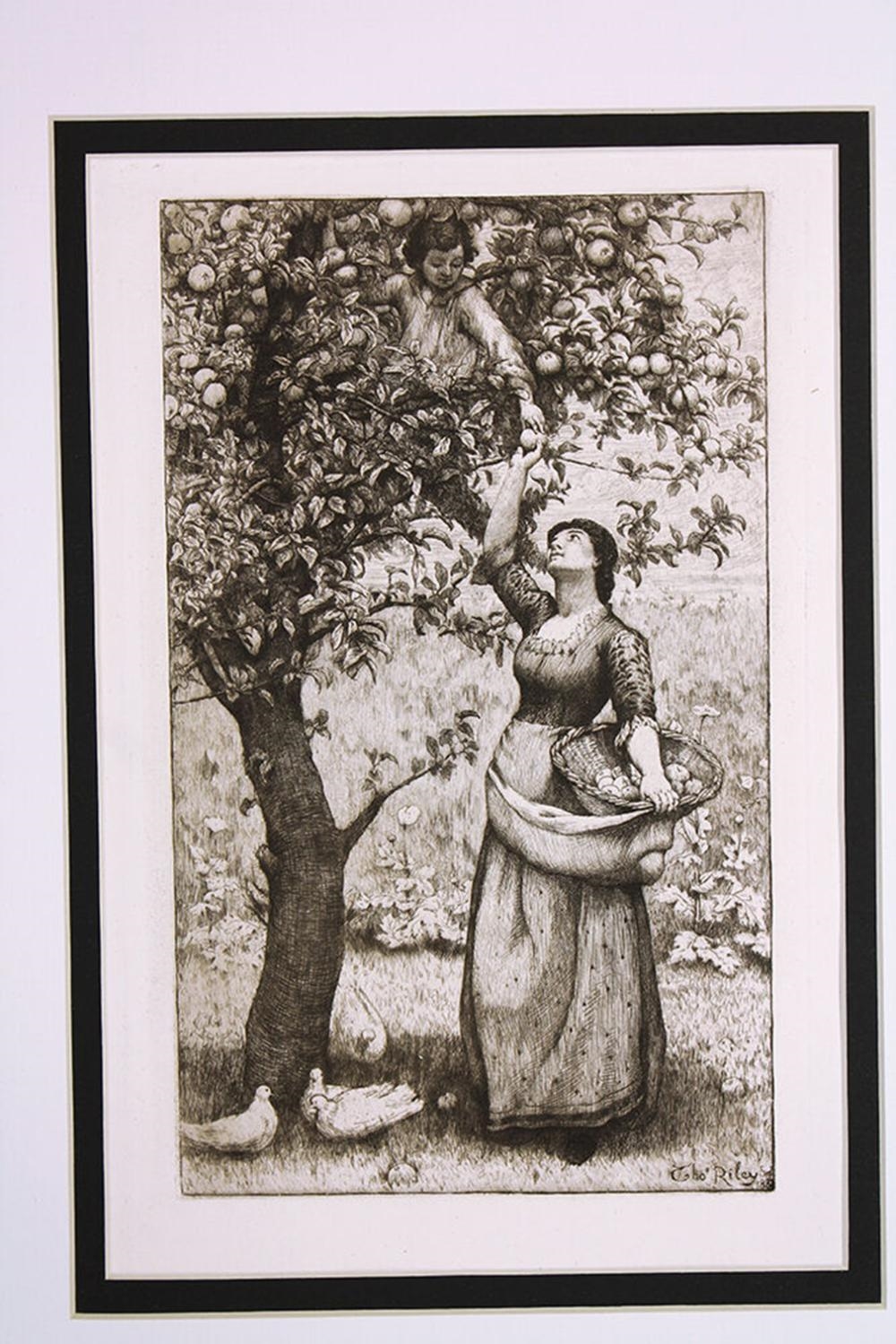 Thomas Riley | Gathering Apples (1882) | MutualArt