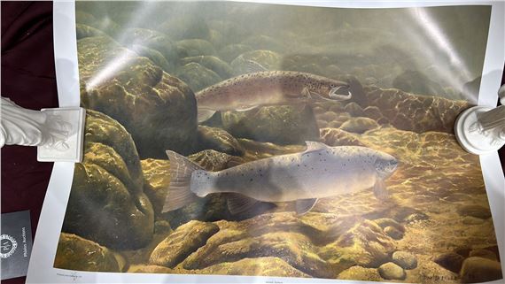 David Miller | Atlantic Salmon | MutualArt