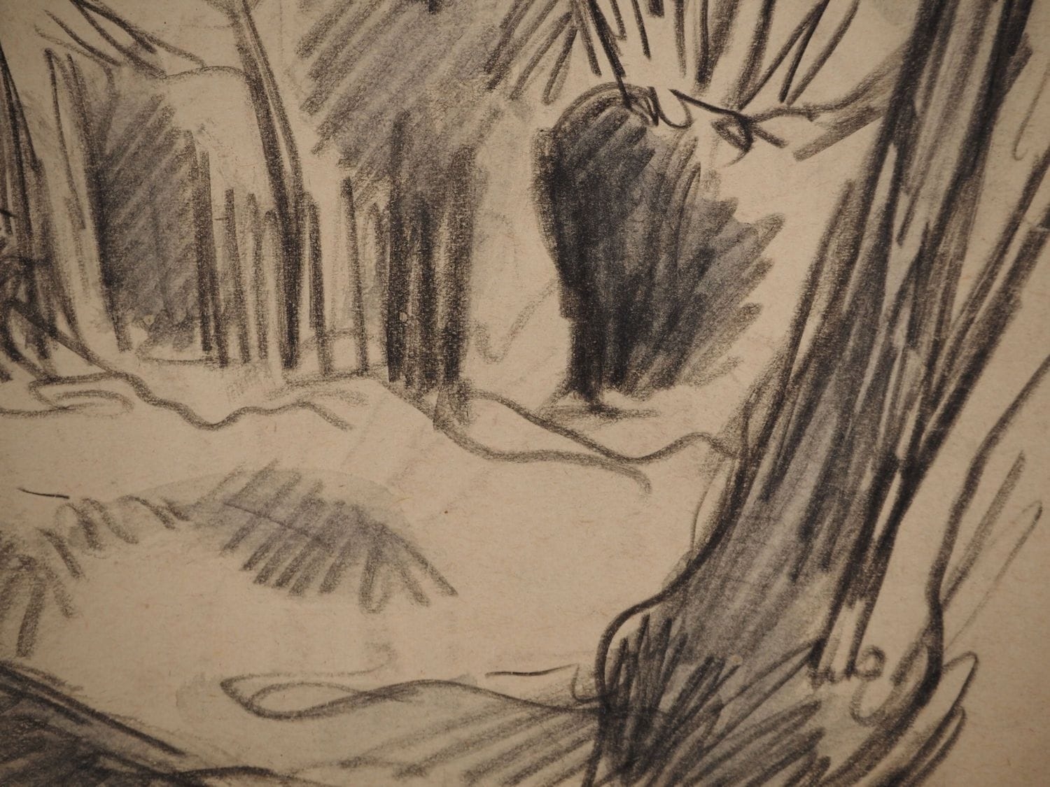 Maximilien Luce | Woodland | MutualArt