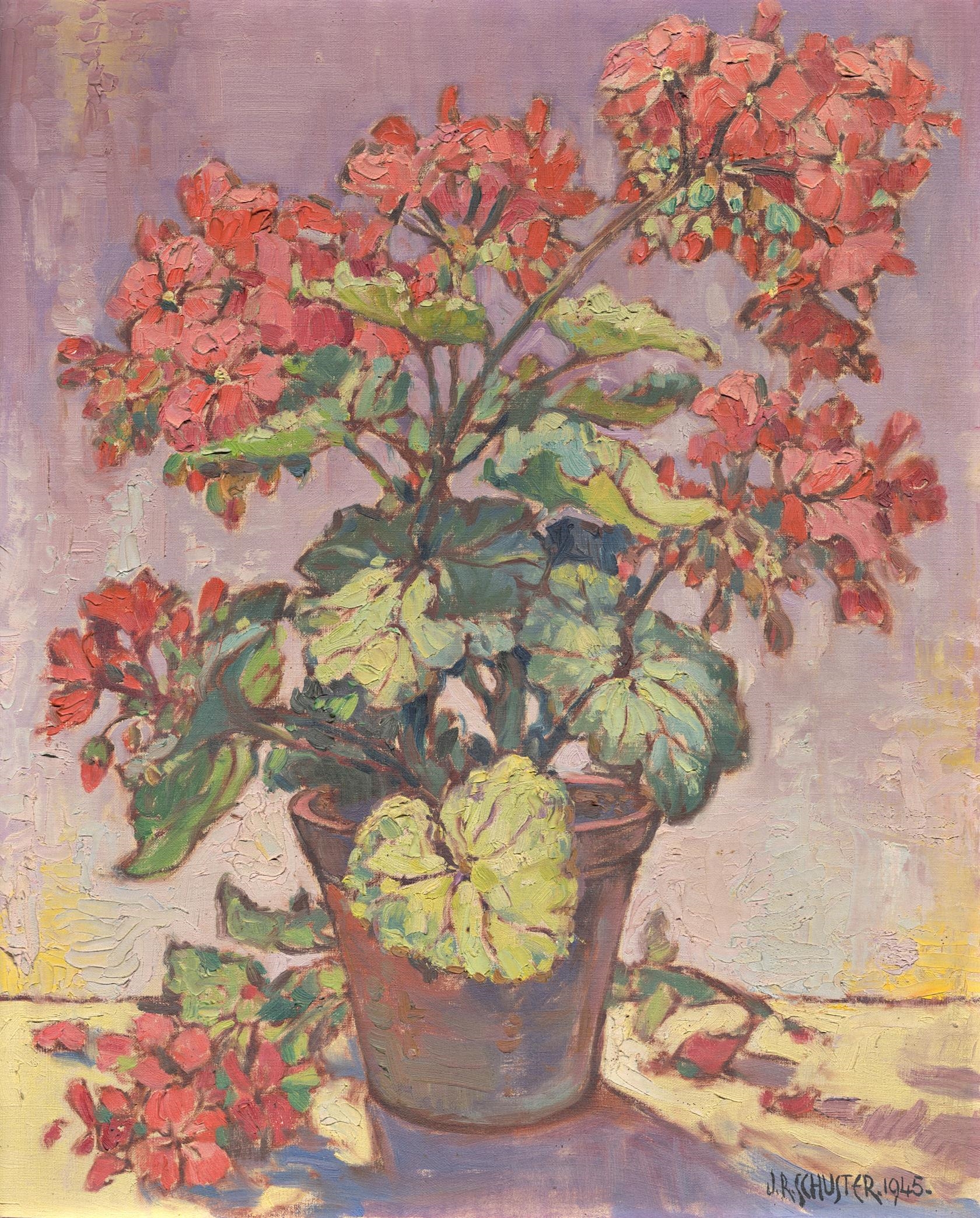 Jan Rafael Schuster | Pelargonie (1945) | MutualArt