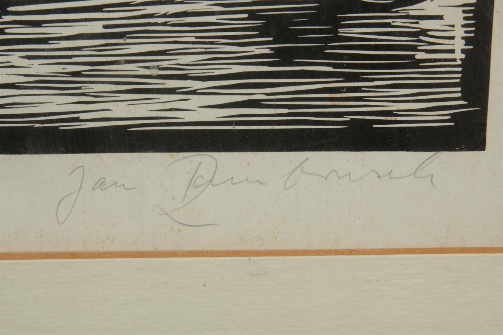 Jan Rambousek | Růže | MutualArt
