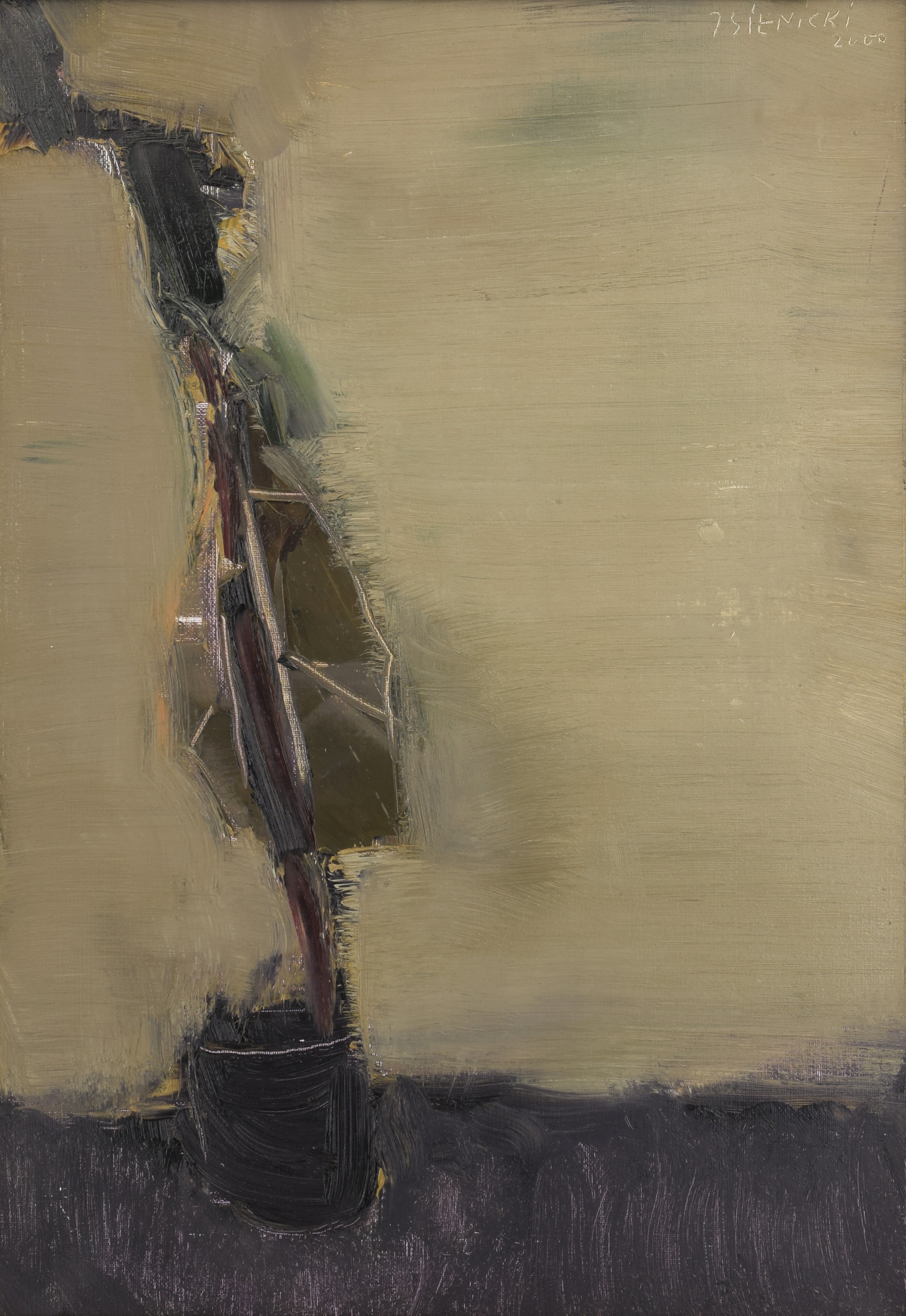 Jacek Sienicki | Fikus | MutualArt