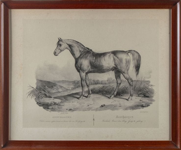 Victor Adam | Copenhagen - Horse ridden by the Duke of Wellington at ...