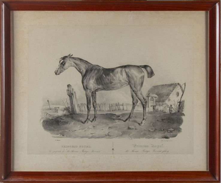 Victor Adam | Copenhagen - Horse ridden by the Duke of Wellington at ...