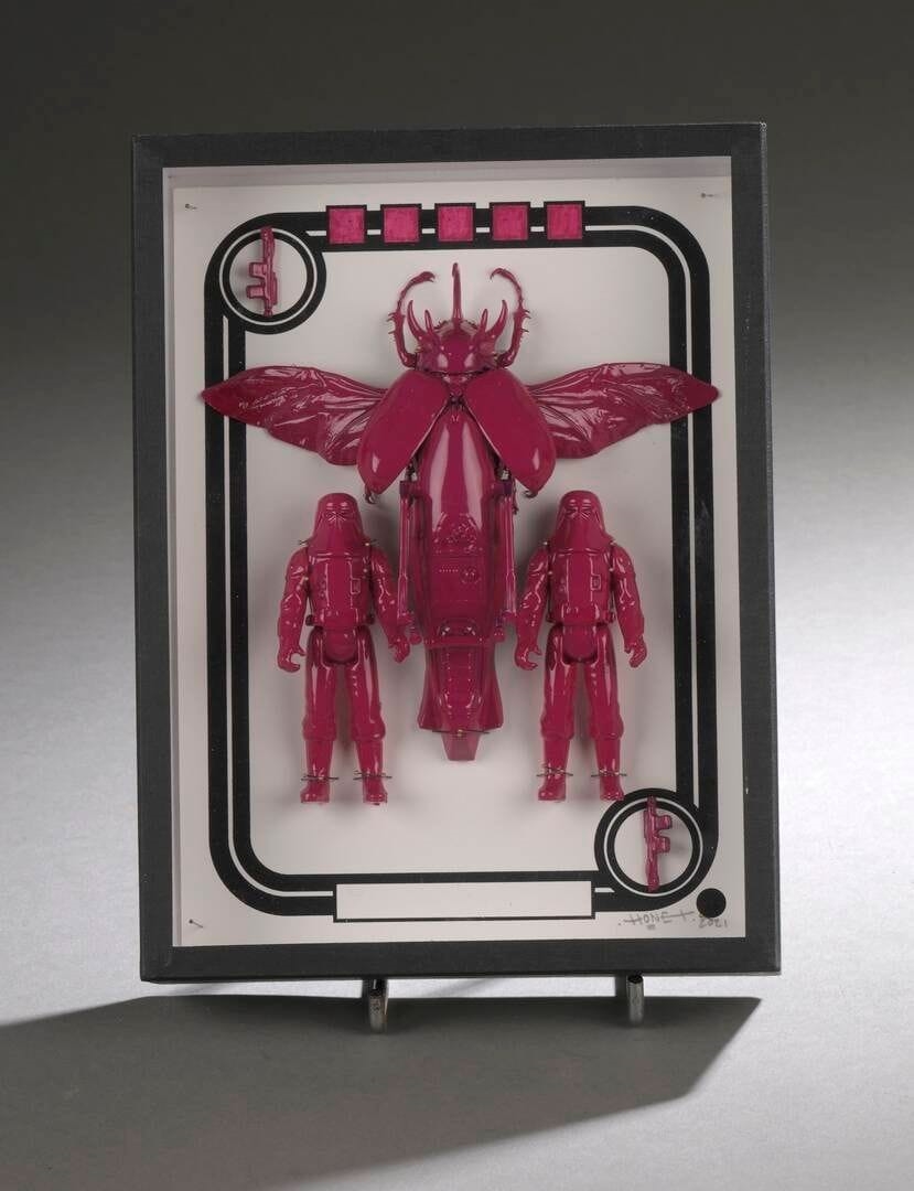 Benjamin Piétri | Galaxidermic box | MutualArt