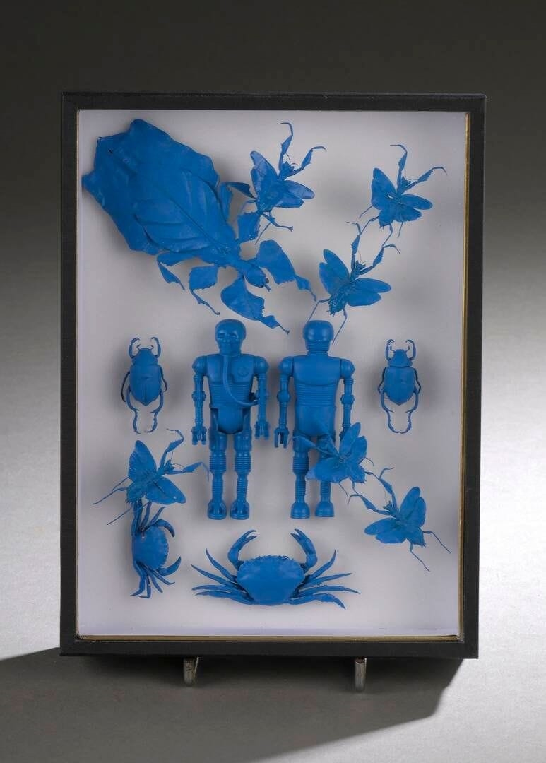 Benjamin Piétri | Galaxidermic box | MutualArt