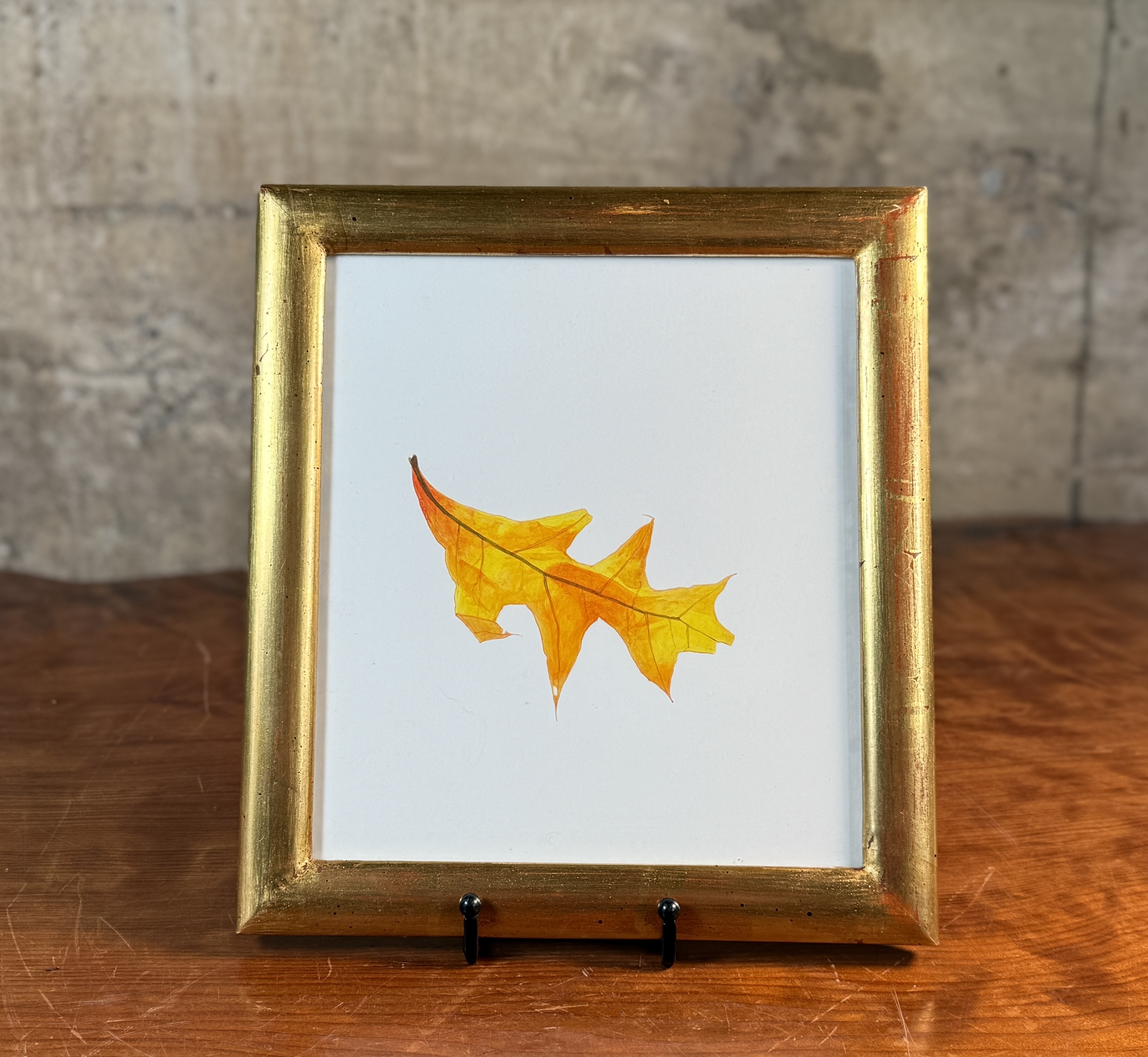 Howard Hack | Flower Series | MutualArt