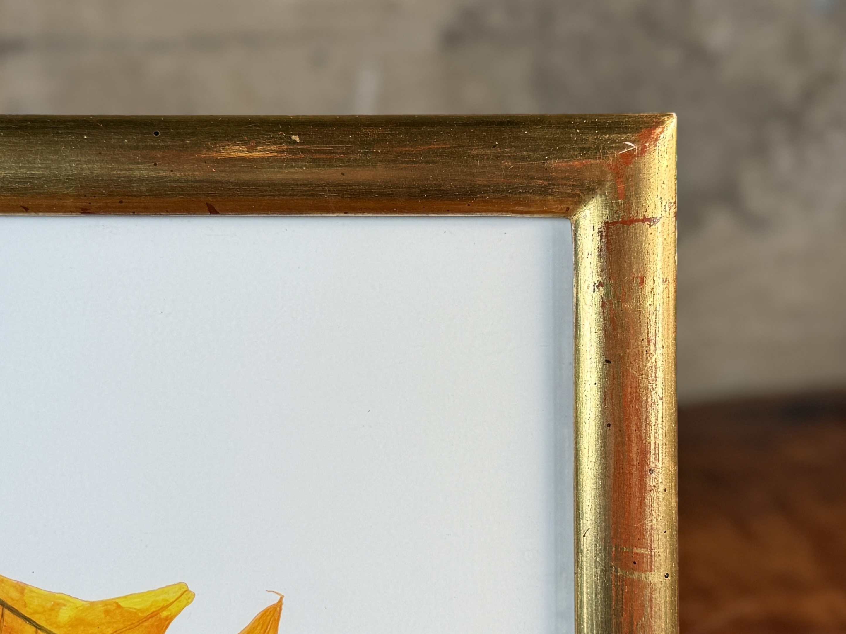 Howard Hack | Flower Series | MutualArt