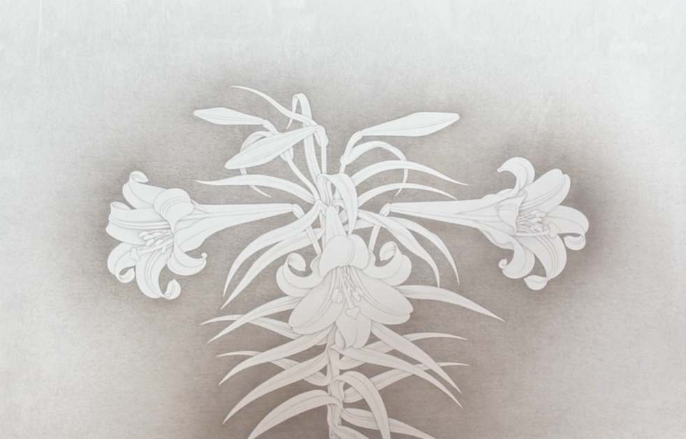 Howard Hack | Silverpoint #146, Lily #7 | MutualArt