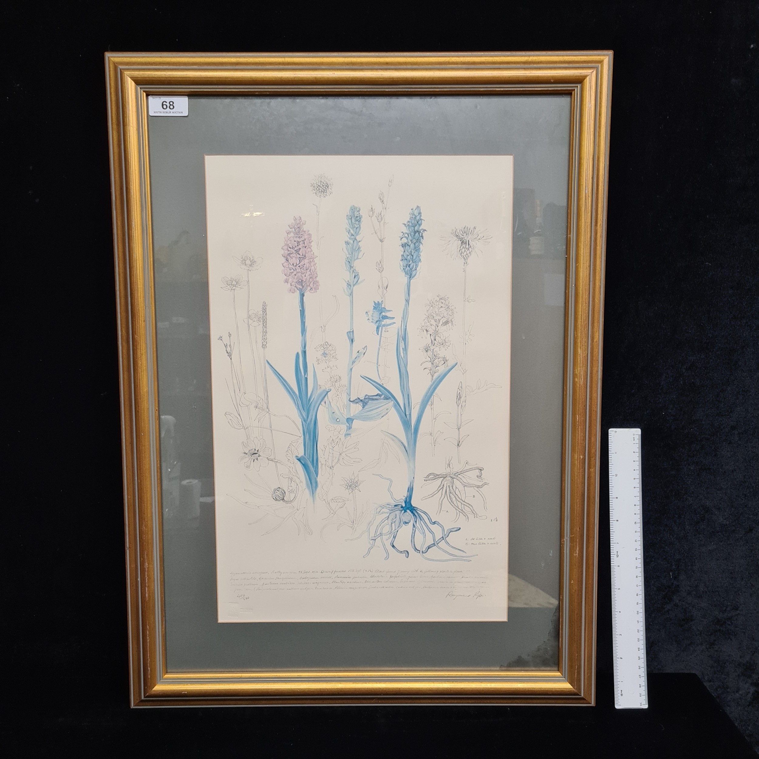 Raymond Piper | Orchid | MutualArt