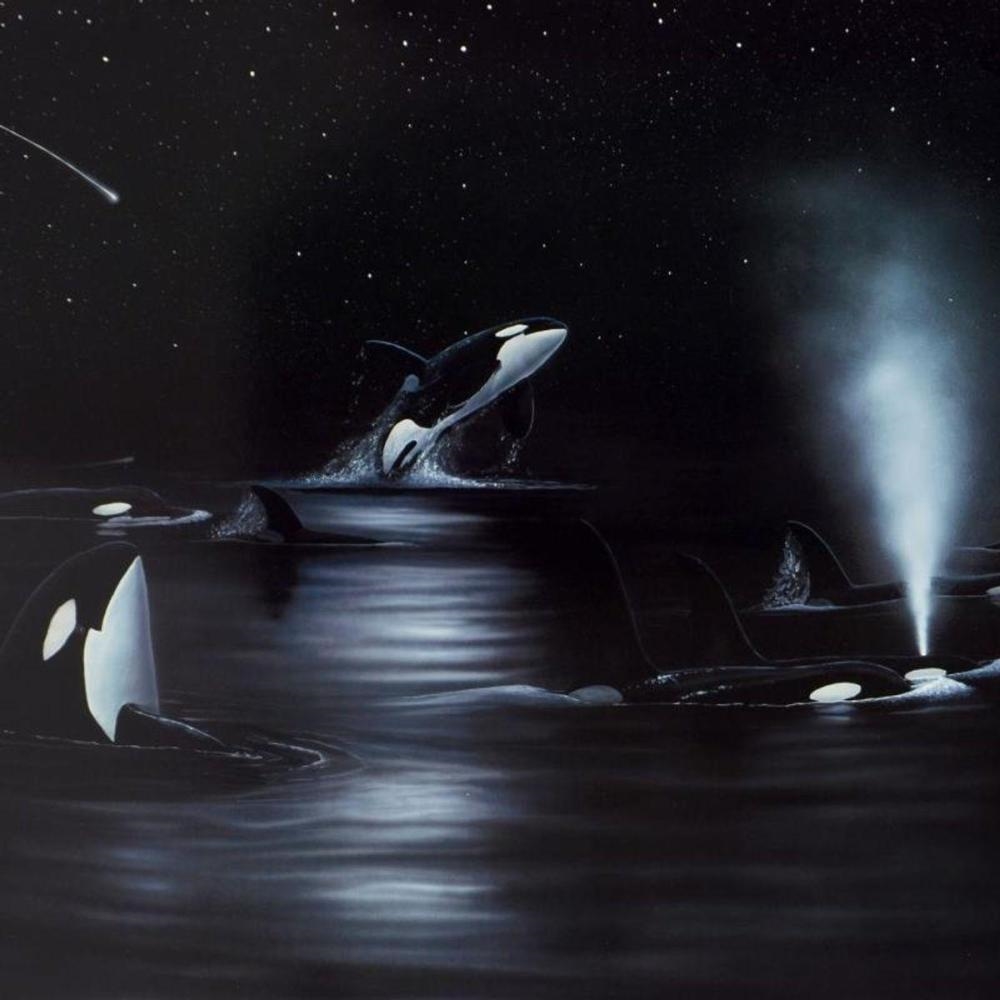 Robert Wyland | Orca Starry Night | MutualArt