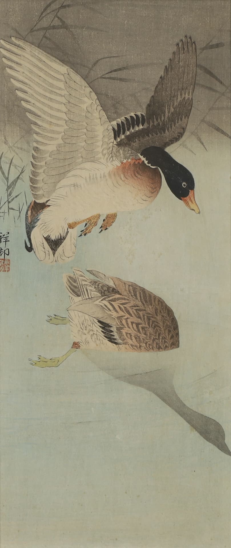 Ohara Koson | Deux canards sauvages en vol, Deux canards plongeant ...