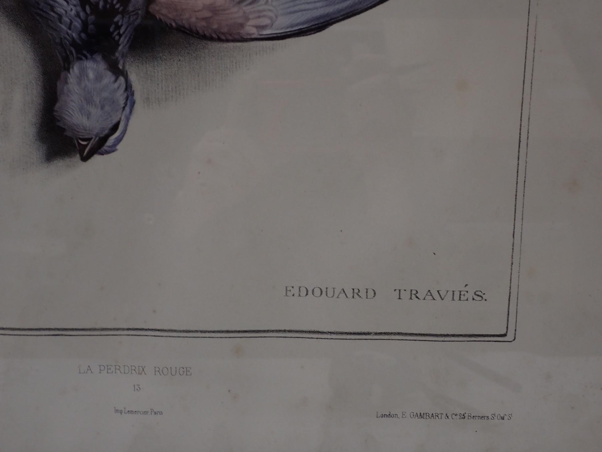 Édouard Traviès | La perdrix rouge | MutualArt