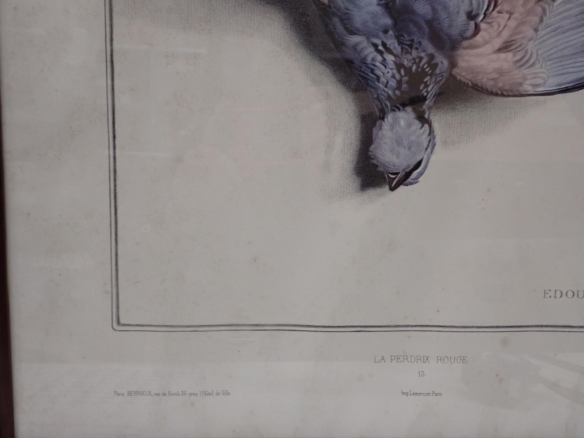 Édouard Traviès | La perdrix rouge | MutualArt