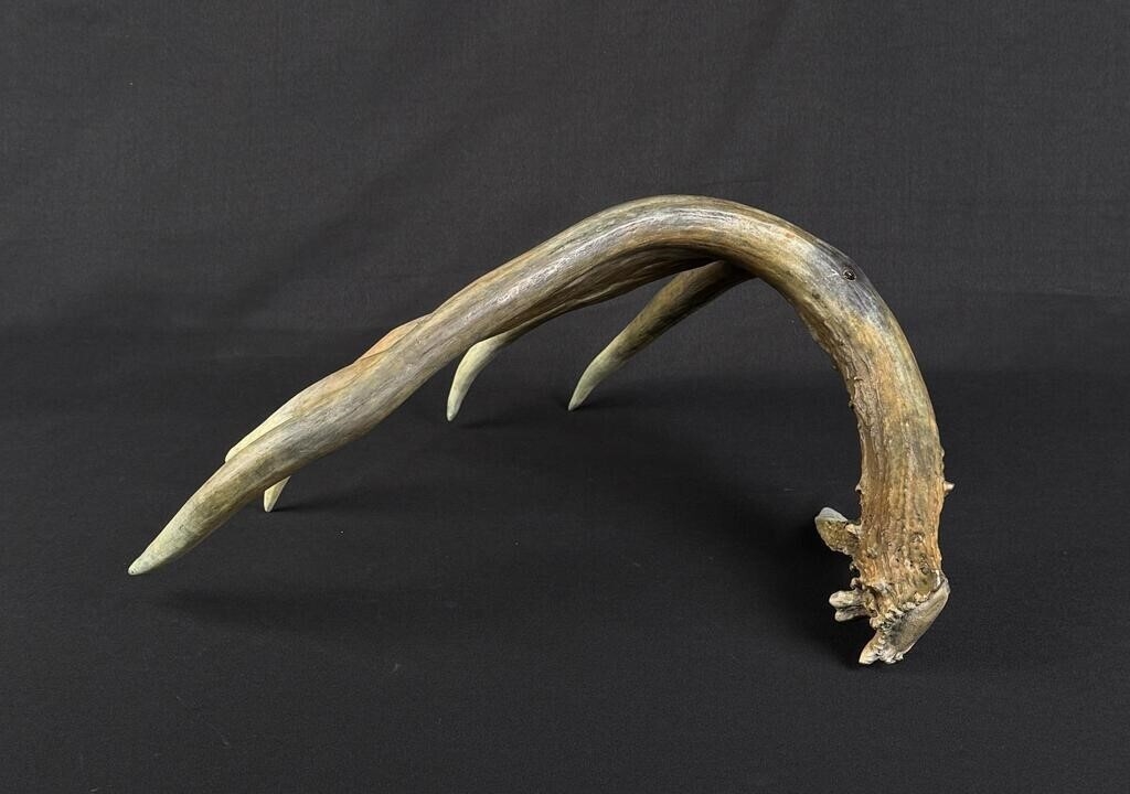 Jim Rowe | Once a King | MutualArt