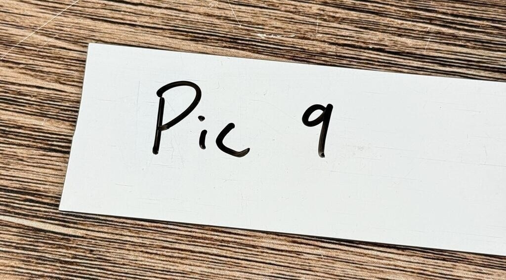 Gary D. Cook | Giraffe Study | MutualArt