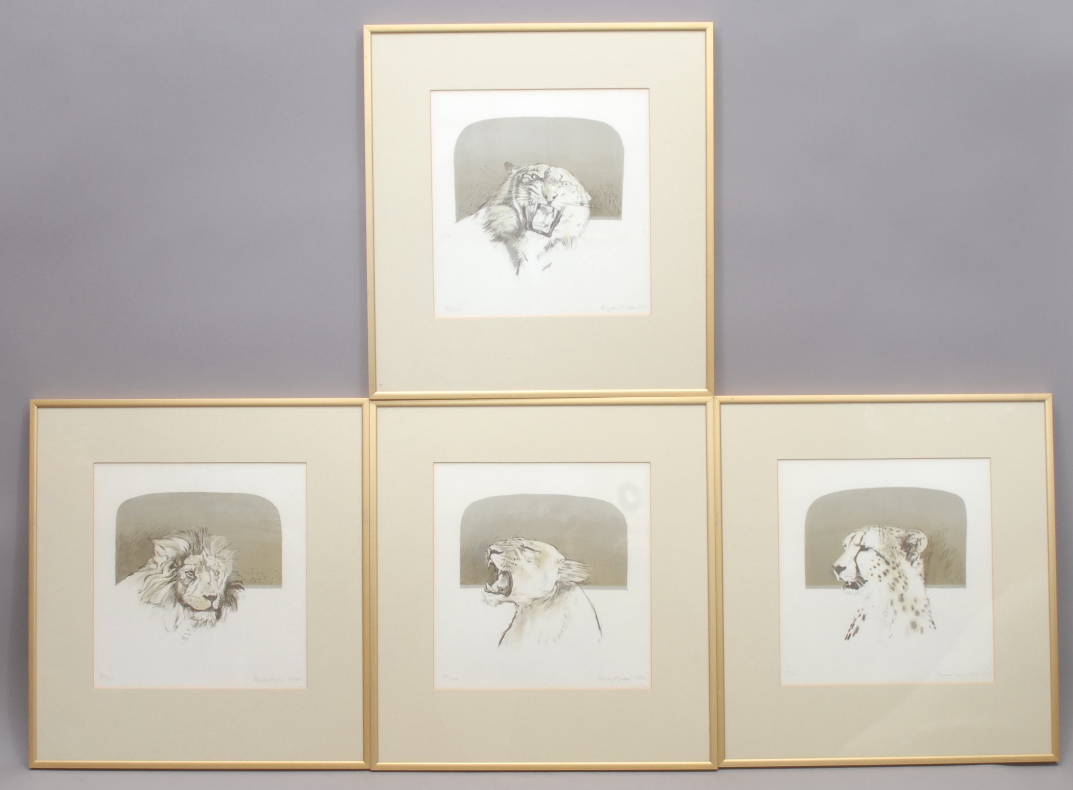 Bryan Organ | Wild Cats (1975) | MutualArt