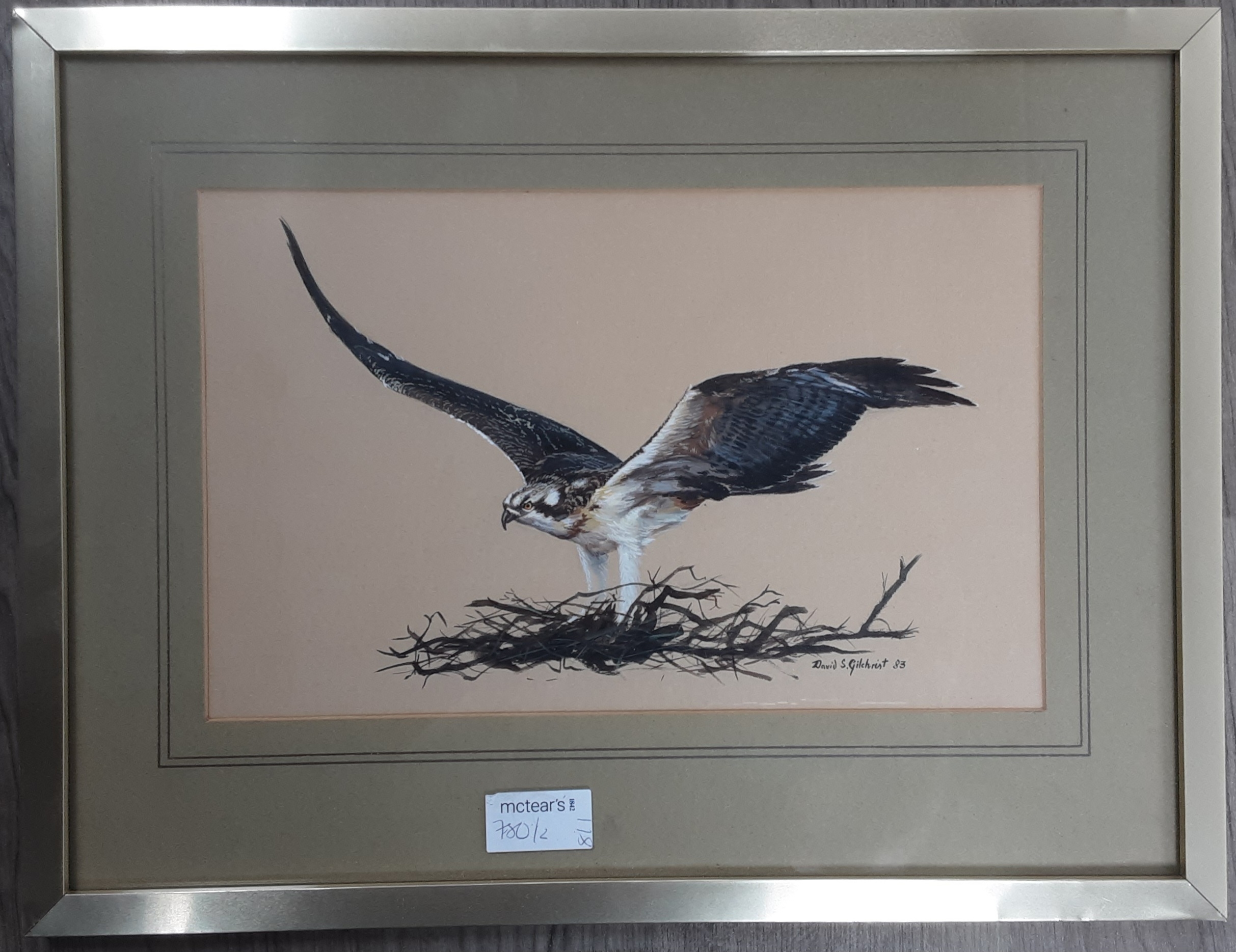 David S. Gilchrist | TWO BIRD STUDIES | MutualArt