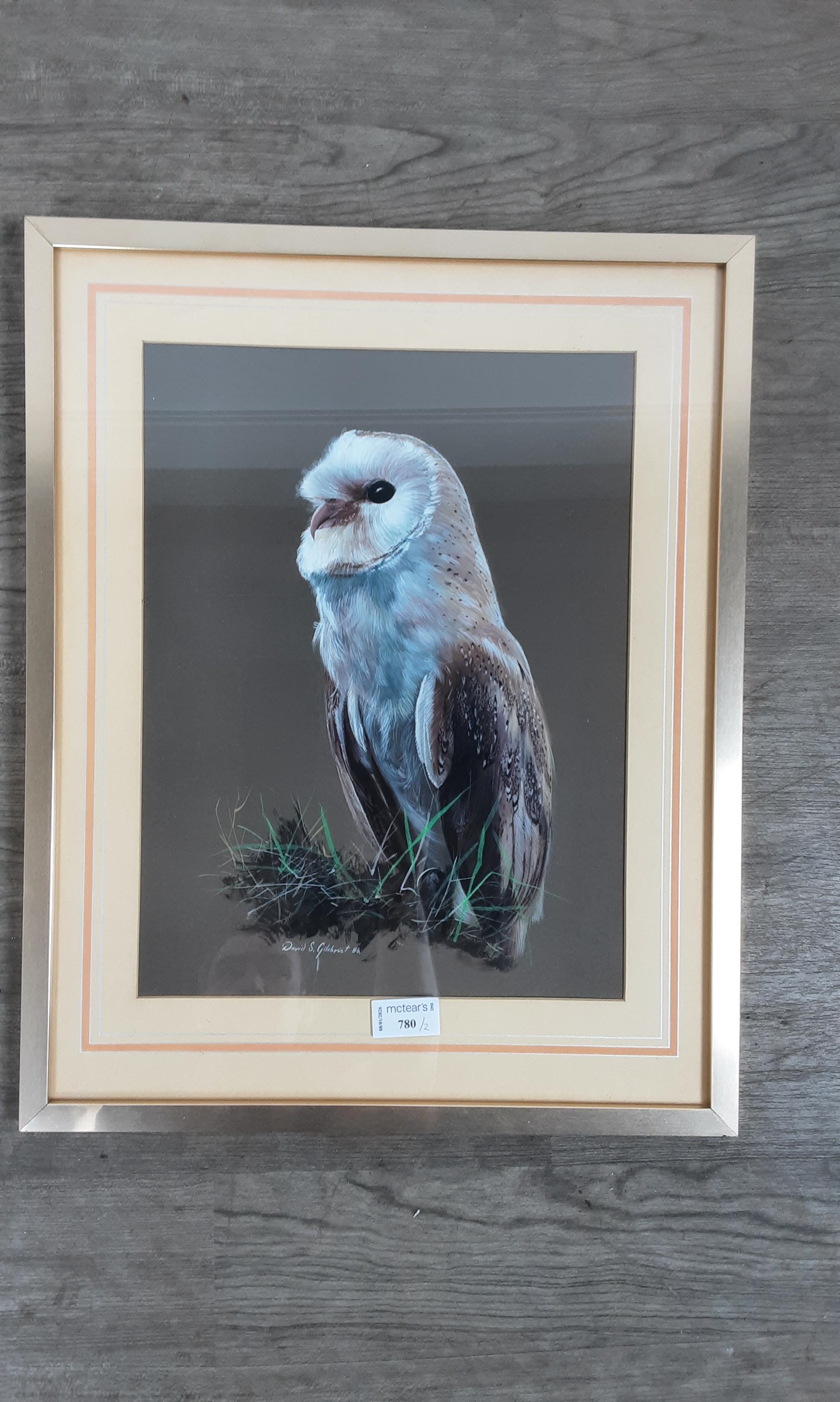 David S. Gilchrist | TWO BIRD STUDIES | MutualArt