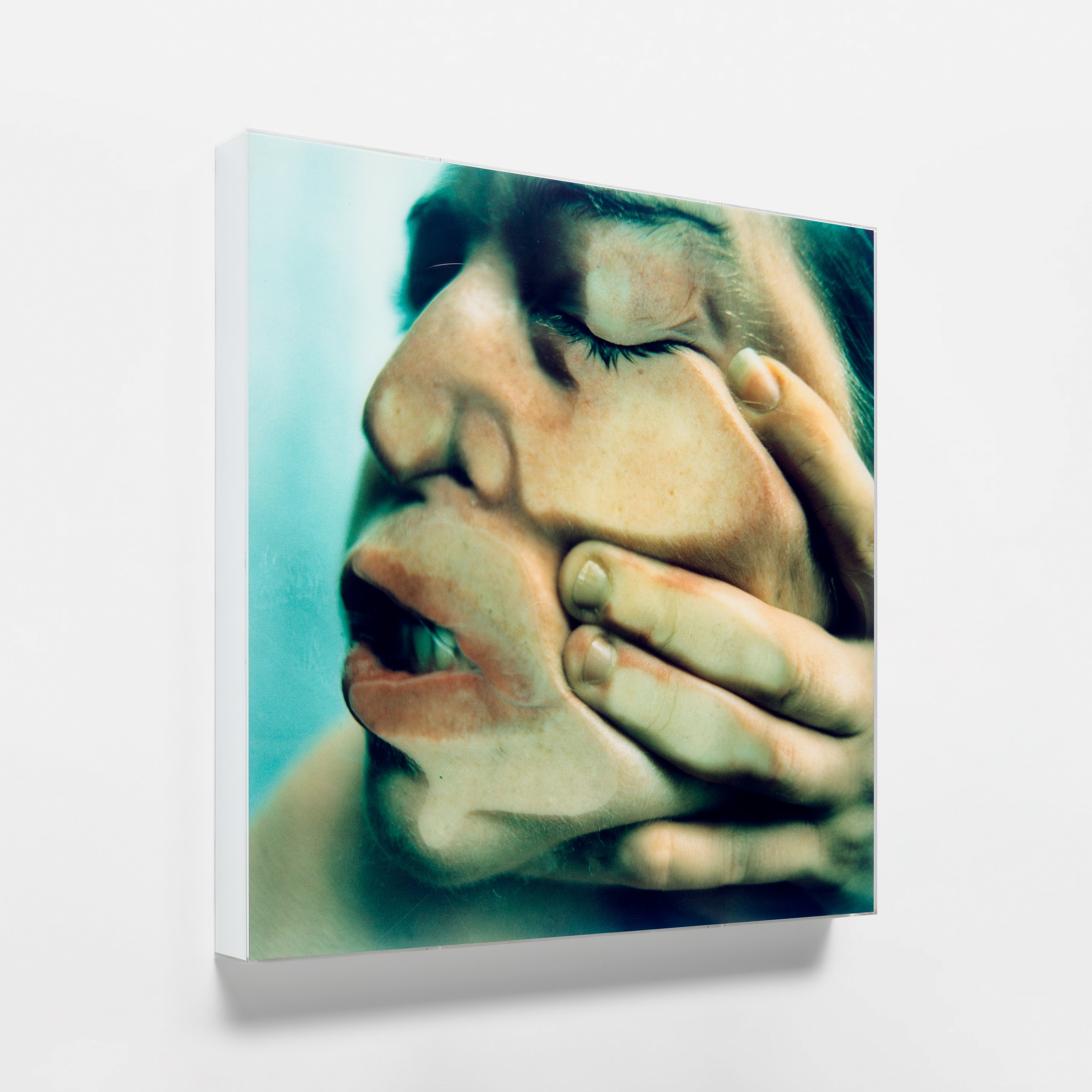 Jenny Saville | Closed Contact #14 (1995 - 1997) | MutualArt