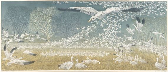 Janet Turner | Wintering Snow Geese | MutualArt