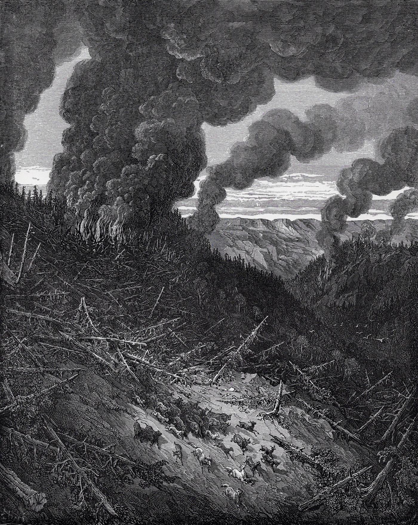 Gustave Doré | The Forest Fire (1880) | MutualArt