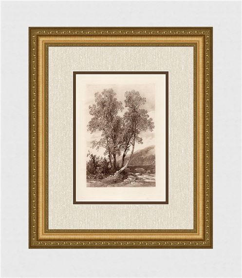 James Duffield Harding | Study of Ash Trees (1883) | MutualArt